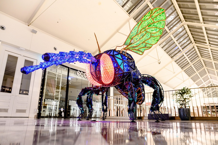 The Mini Beasts return to Robina Town Centre - Shopping Centre News